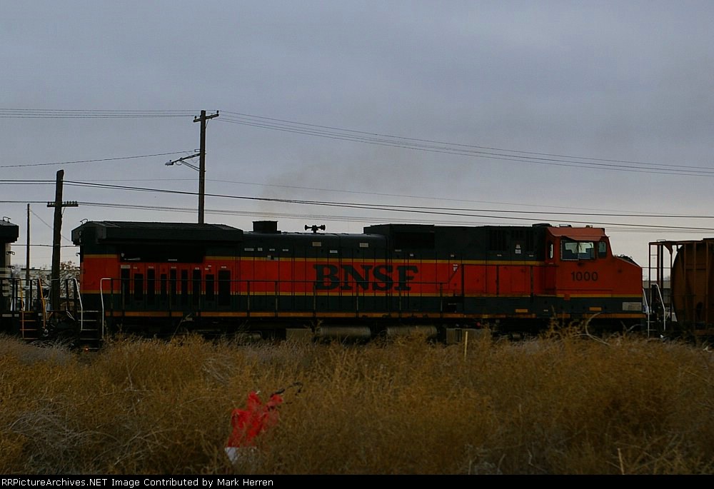 BNSF 1000